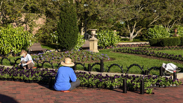 Bravex Power & Handed Tools丨Outdoor – Bravex Tools