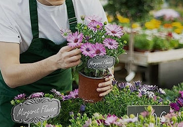 BravexTools | Auto Parts Home&Garden Power&Handed Tools Hardware ...